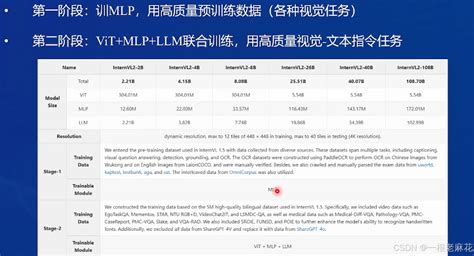 Internvl 多模态模型部署微调实践 书生大模型intervl Csdn博客