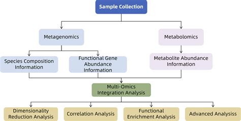 Integrative Metagenomics Metabolomics Analysis Mtoz Biolabs