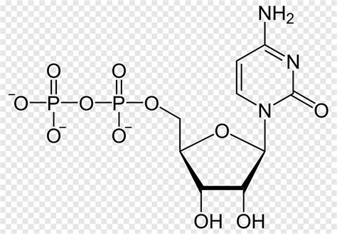 Уридин монофосфат Уридин дифосфат Уридин трифосфат Аденозин дифосфат ...