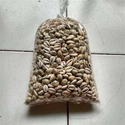 1 Kilo Biji Congklak Atau Biji Kerang Asli Luwuk Asli Isi 1 Kg By