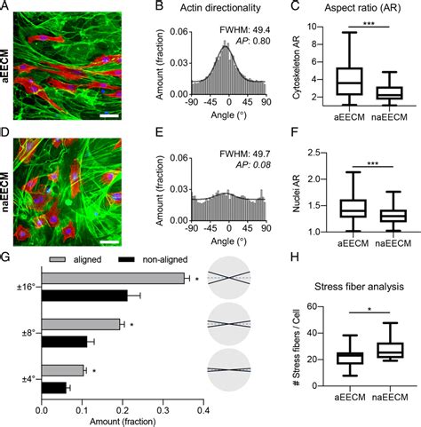 Aligned Networks Of Engineered Fibrillar Fibronectin Guide Cellular Orientation And Motility