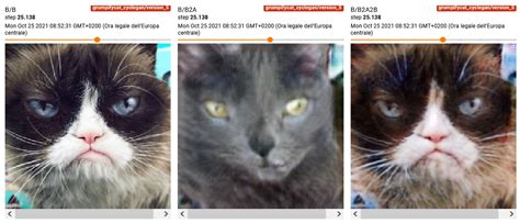 Domain Adaptation Image To Image Translation Gradient Reversal Layer