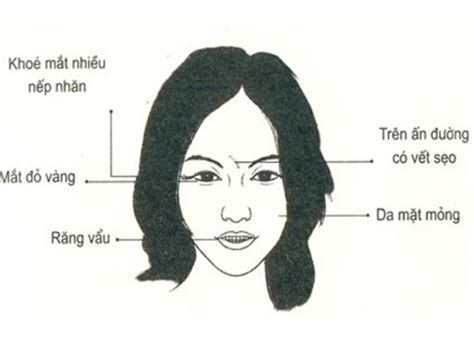 Các Dáng Mũi Trong Nhân Tướng Học Vận Mệnh Tương Lai