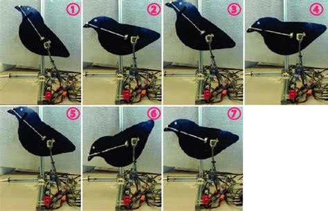 Configuration Of The Prototype At Different End Effector Positions