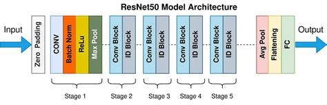 How To Fine Tune The Resnet 50 Model On Your Target Dataset Using