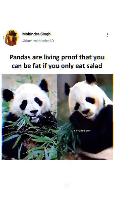 Mohindra Singh Why Are You Gay Instagram