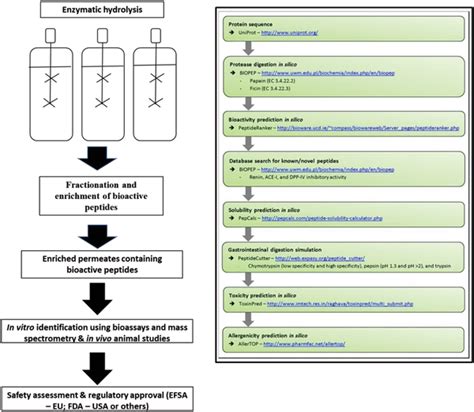 In Silico Method For Generation And Identification Of Bioactive Peptide Download Scientific
