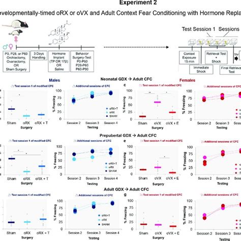 Sex Specific Effects Of Gonadal Removal During Development Upon Cfc