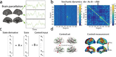 Figure 1 From Controllability Analysis Of Functional Brain Networks Semantic Scholar