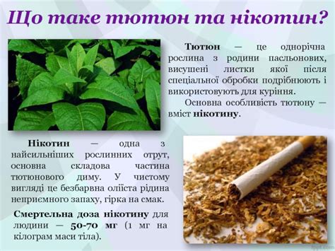 Шкідливий вплив тютюнопаління на організм людини презентация доклад