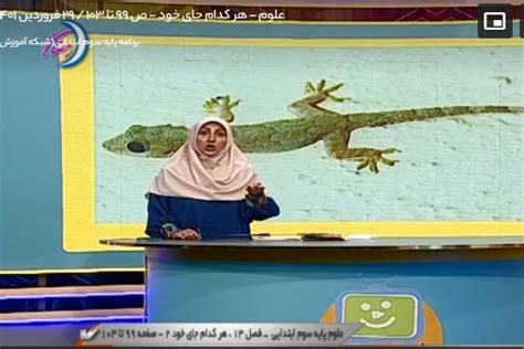 شبکه آموزش پایه سوم ابتدایی