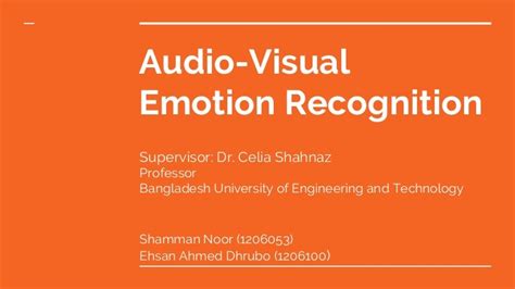 Audio Visual Emotion Recognition Using Cross Correlation And Wavelet