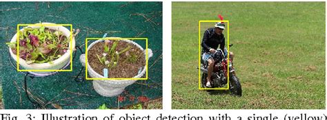 Figure 3 From Automatic Object Detection Using Objectness Measure Semantic Scholar