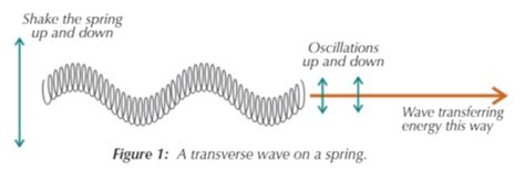 Physics Topic 6 Waves Flashcards Quizlet