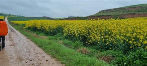 [산티아고 순례길] 가이드가 알려주는 산티아고 순례길의 모든 것 ① 네이버 블로그
