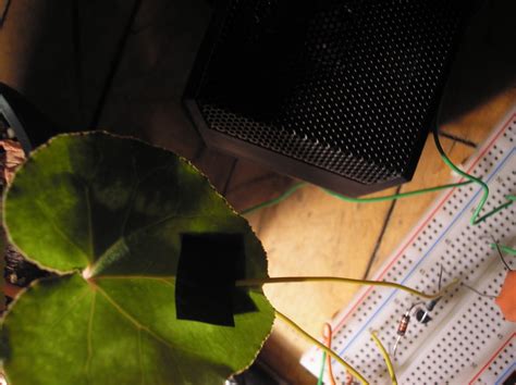 Phytoblog Our First Polygraph Device