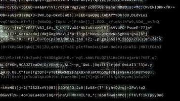 Code Scrolling Stock Video Footage For Free Download