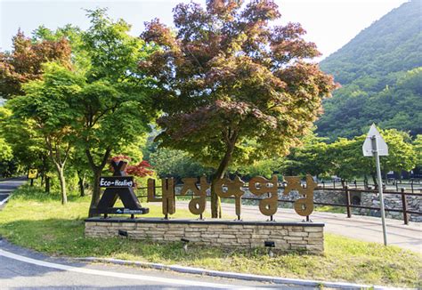 정읍 내장산 국립공원 내장야영장 예약하기 • Online Info