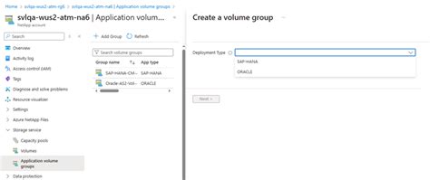Add Volumes For An Sap Hana System As A Secondary Database In Hsr Using