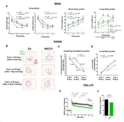 Learning And Memory Deficits In Tcmac21 A Mwm Acquisition Trials Download Scientific