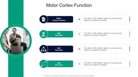 Motor Cortex Function PowerPoint Templates Slides And Graphics