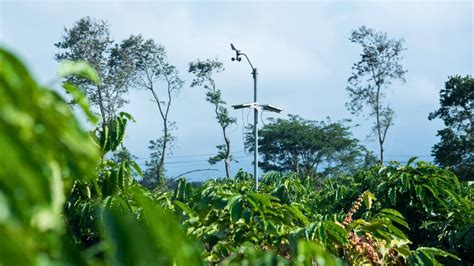 Efficient Irrigation System Is Crucial For Agricultural Development