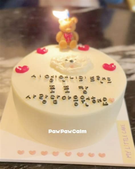 Pawpawcalm 포포캄 Pawpawcalm • Instagram Photos And Videos