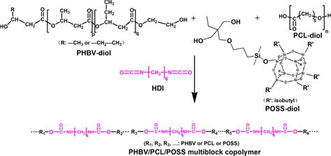 synthesis process of phbv pcl poss multiblock copolymers download