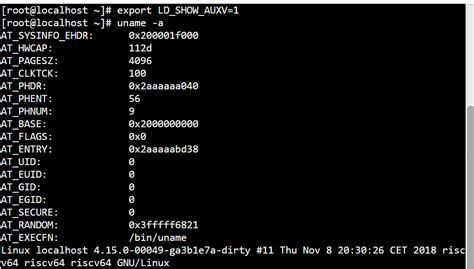 Linux — The Auxiliary Vector Auxv By Shlomi Boutnaru Phd Medium