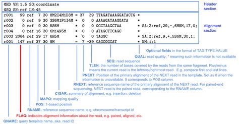 read alignment [“introduction to rna sequencing bioinformatics”]