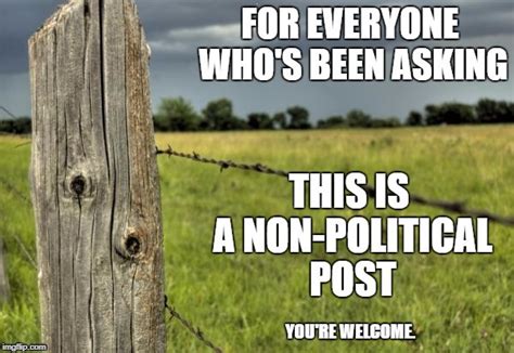 Non Political Memes I Will Respond To All Notifications If You Have A