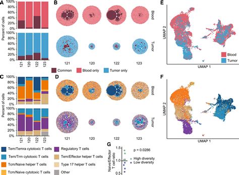 Low T Cell Diversity Associates With Poor Outcome In Bladder Cancer A