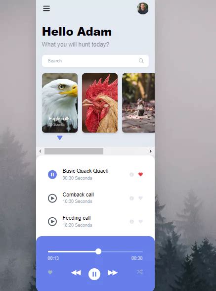 11 Tailwind Mobile App Layout Examples