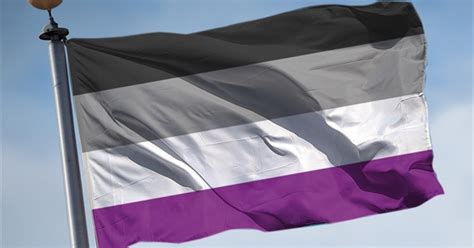 Books With Ace Rep About Being Asexual