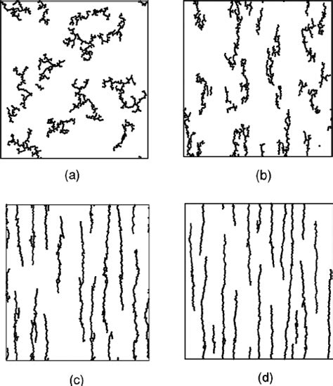 Morphologies For Cluster Cluster Aggregation With Different K N ϭ