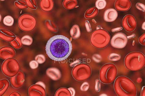 Digital Illustration Of Hypochromic And Microcytic Red Blood Cells