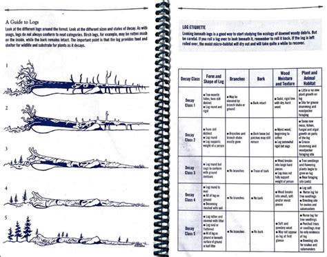 Assessment Of Log Decay Class From Ontarios Old Growth A Learners