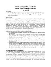 Exploring Marine Algae And Plant Diversity Lab 4 Findings And Course Hero