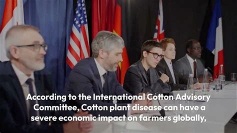 Aits On Linkedin Cotton Plant Disease Detection Tinyml Edge Lowcodeplatform Cainvas