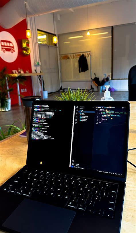 Programming Coding Bootcamp Java Phyton Ruby Software Marcelo Amaral Alves