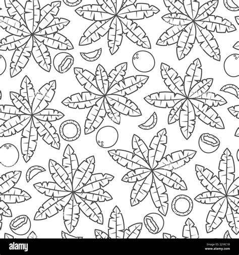 Seamless Pattern With Black And White Palm Trees And Coconuts Tropical
