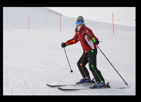 Help Me About Yolox Pose · Open Mmlab Mmpose · Discussion 2226 · Github