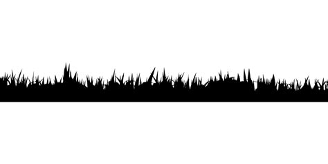 The Best 29 Grass Silhouette Transparent Deelabratesin