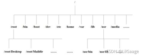 Linux简介 特点、基本思想、工作原理、主要功能、内核、发行版本、应用、终端、命令提示符、目录结构、文件类型linux操作系统功能 Csdn博客