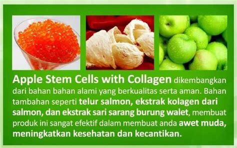 Apple Stem Sel Plus