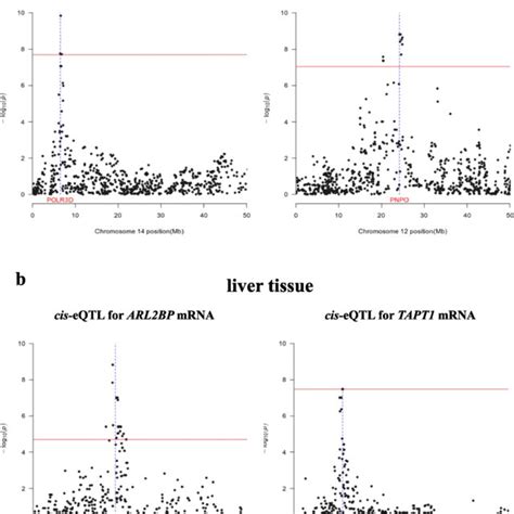 Examples Of Cis Eqtls That Are Found In The Muscle But Not In The Liver Download Scientific