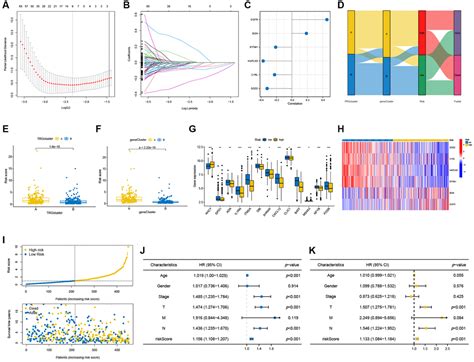 Development And Validation Of A Novel T Cell Proliferation Related Prognostic Model For