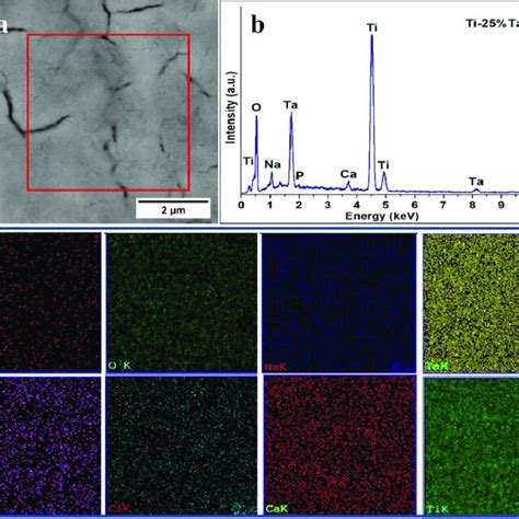 Microstructure Of A Ti 5 Ta B Ti 15 Ta C Ti 25 Ta After Naoh