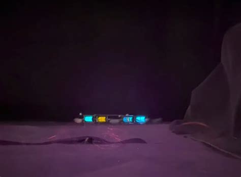 دانشگاه ام‌آی‌تی و معرفی ربات ارزشمند کرم شب تاب فیلم و عکس