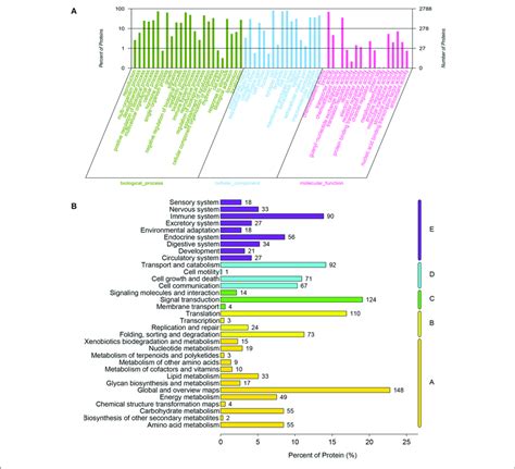 Functional Classification Of All Annotated Proteins In Chicken Download Scientific Diagram